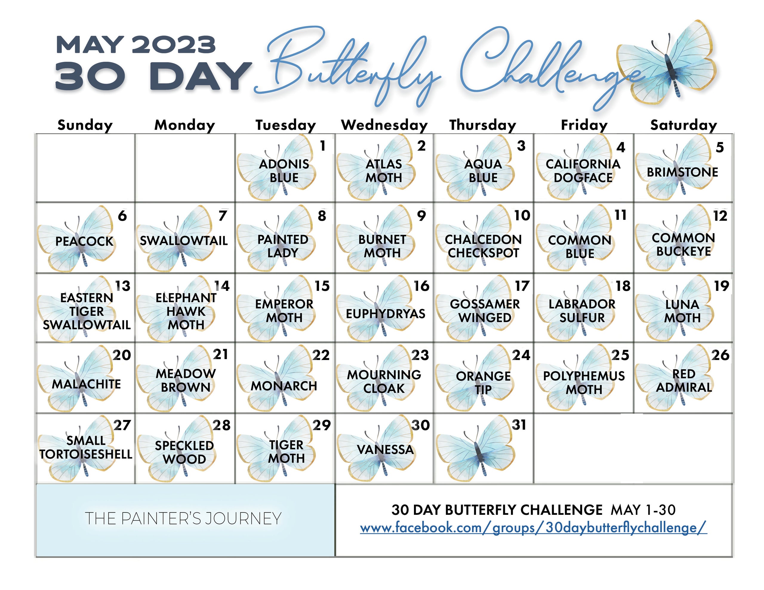30 Day Butterfly Challenge | Agnes Friedlander Art Studio
